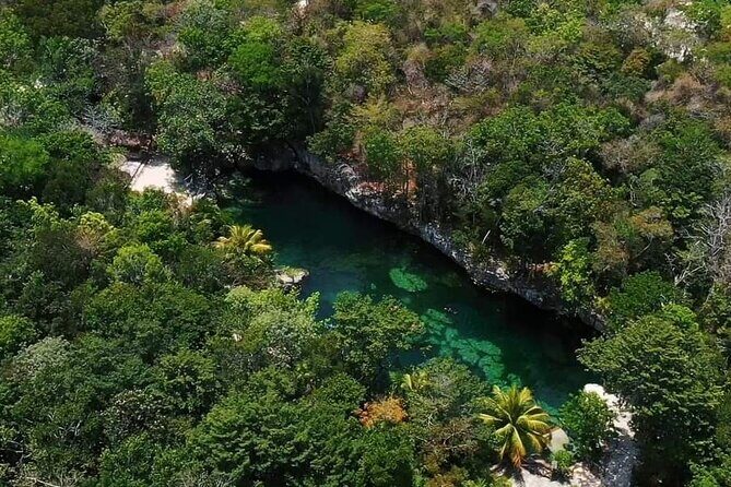 Full Day Tour to 5 Magical Cenotes in the Riviera Maya - The Tour Overview: A Balance of Nature, Culture, and Fun