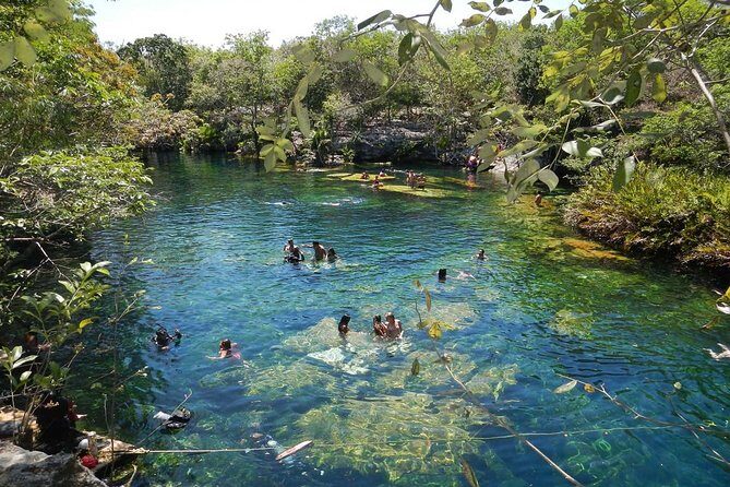 Full day tour to BACALAR, Beach Club, Kayak and an amazing Cenote - Analyzing the Price: Is It Worth It?