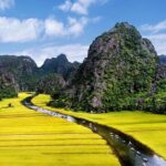 Full day tour to Hoa Lu - Tam Coc in Ninh Binh - What the Reviews Tell Us