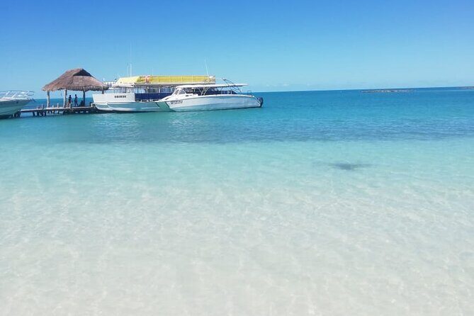 Full Day Tour to Isla Contoy and Isla Mujeres from Cancun - What You Should Know Before You Book