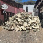 Full-Day Tour to La Fortaleza Distillery and Cantaritos - The Iconic Stop at Cantaritos el Güero