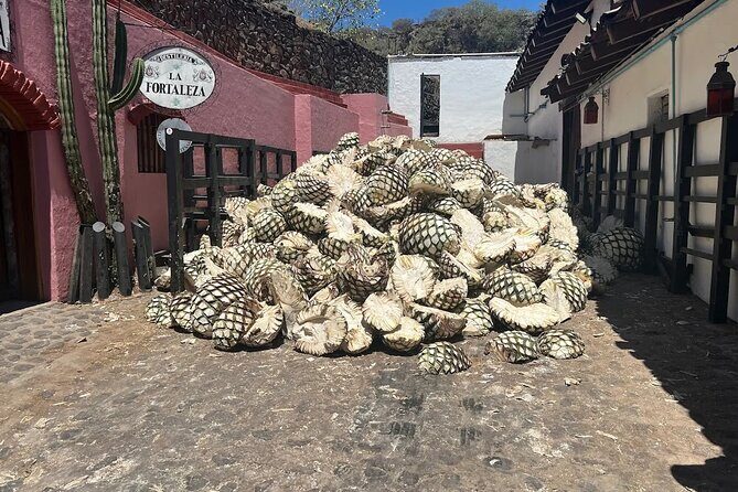 Full-Day Tour to La Fortaleza Distillery and Cantaritos - The Iconic Stop at Cantaritos el Güero