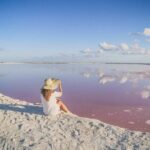 Full-Day Tour to Las Coloradas Pink Paradise in Yucatan and Rio Lagartos. - The Itinerary in Detail