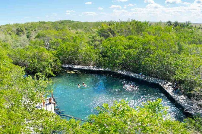 Full Day Tour to the Best of Holbox - Who Should Consider This Tour?