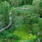 Full Day Tour Tra Su Forest From Can Tho City - The Value of This Experience