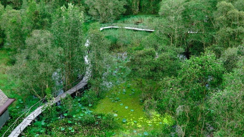 Full Day Tour Tra Su Forest From Can Tho City - The Value of This Experience