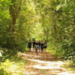 Full Day Trekking Cat Ba National Park, Viet Hai Village, biking - Final Thoughts: Who Will Love This Tour?