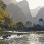 Full Day Trip to Discover Ninh Binh  Hoa Lu  Tam Coc From Ha Noi - Authentic Experiences & Practical Details
