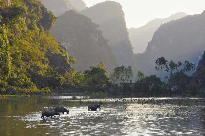 Full Day Trip to Discover Ninh Binh  Hoa Lu  Tam Coc From Ha Noi - Authentic Experiences & Practical Details