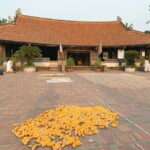 Full-Day Trip to Duong Lam Ancient Village With Jeep & Daily Life - Transport & Logistics: Comfort & Convenience
