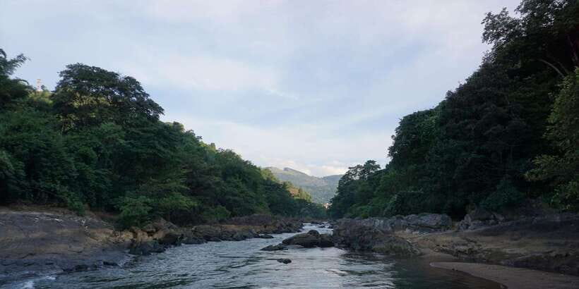 Full Day Tuk Tuk Tour  Explore Kandy with Local Expert - Real Traveler Insights