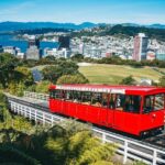 Full Day Wellington Tour - Including maoritanga - What Makes the Itinerary Stand Out
