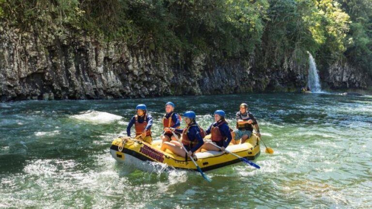 Full Day White Water Rafting From Cairns or Mission Beach - The Itinerary: What You Can Expect on the Day