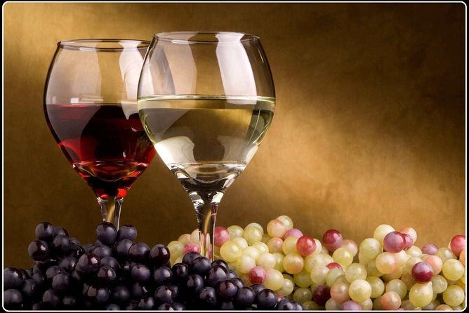 Full-Day Wine Gourmet and Scenic Delight Tour of Marlborough from Picton - Why This Tour Works Well