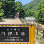 Full Day World Heritage Shirakami Mountains Hiking Tour - The Itinerary in Detail: What You’ll Experience