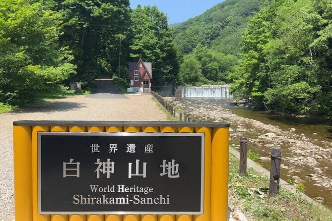 Full Day World Heritage Shirakami Mountains Hiking Tour - The Itinerary in Detail: What You’ll Experience