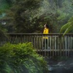 Full Waimangu Experience - Walk & Cruise - Highlights of the Itinerary