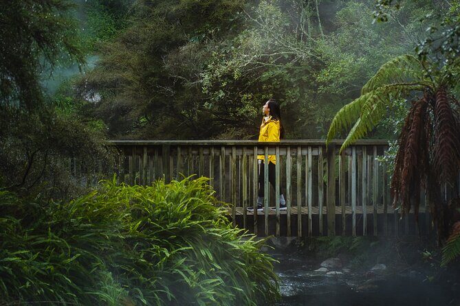 Full Waimangu Experience - Walk & Cruise - Highlights of the Itinerary