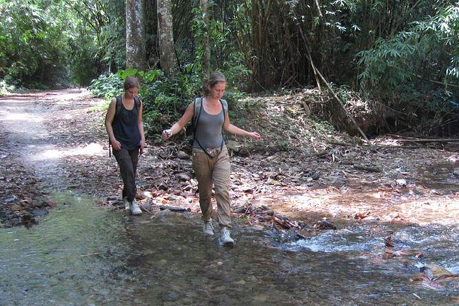 Fullday Tour of Pa-La-U Waterfall from Hua Hin including Lunch - Why This Tour Is a Good Value