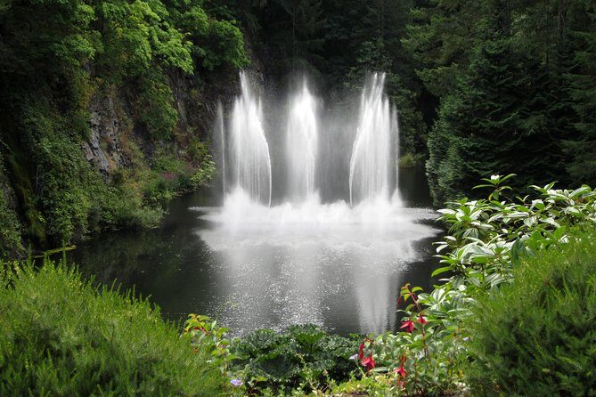 Fully narrated tour of Butchart Gardens and Saanich Peninsula - What Do the Reviews Tell Us?