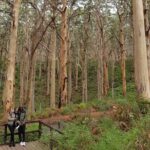 Fully Tailored Private Bespoke Tour of Margaret River - What Travelers Say