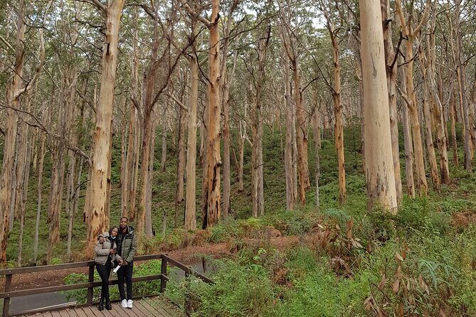 Fully Tailored Private Bespoke Tour of Margaret River - What Travelers Say