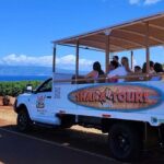 Fun & Affordable! West Maui Open-Air Sightseeing Tour! - Who is This Tour Best For?