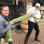 Fun City Scavenger Hunt in Mississauga by Zombie Scavengers - What to Expect from the Zombie Scavengers in Mississauga
