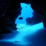 Fun dives Cozumel south marine park - Authentic Reviews: What Divers Say