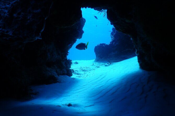 Fun dives Cozumel south marine park - Authentic Reviews: What Divers Say