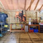 Fun Dives For Certified Divers - What to Expect: An In-Depth Look at the Day