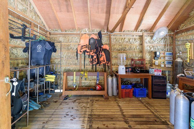 Fun Dives For Certified Divers - What to Expect: An In-Depth Look at the Day