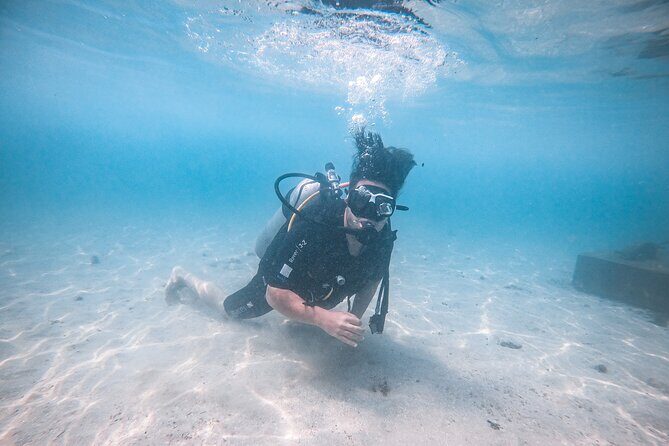 Fun Dives For Certified Divers - What It Feels Like to Dive in Galle’s Waters