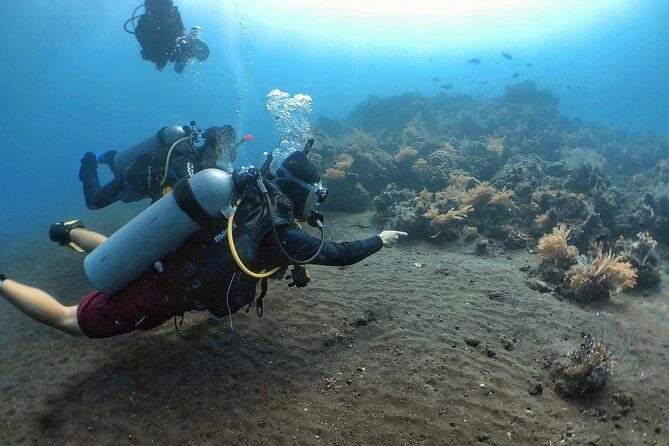 Fun Diving Tulamben Bali - For Certified Divers - Authentic Experiences in a Beautiful Setting