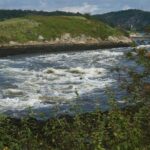 Fundy Coast to Fundy Shore Tour - Transportation and Group Size