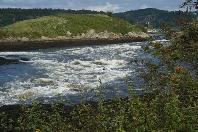 Fundy Coast to Fundy Shore Tour - Transportation and Group Size