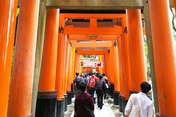 Fushimi Inari & Nara Highlights Walking Tour - Who Will Benefit Most From This Tour?