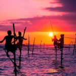 Galle Coastal Heritage & Culture Tour from Colombo - Who Would Benefit Most from This Tour?