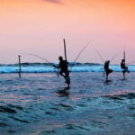 Galle Day Tour - Who Should Consider This Tour?
