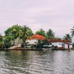 Galle Day Tour From Negombo (All Inclusive) - Stop 2: Kosgoda Sea Turtle Conservation Project