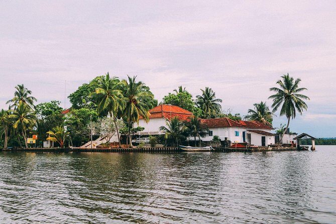 Galle Day Tour From Negombo (All Inclusive) - Stop 2: Kosgoda Sea Turtle Conservation Project