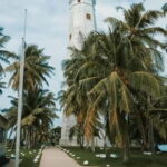 Galle Fort, Bentota, Hikkaduwa Beach: Day Tour from Colombo - What’s Included & What’s Not