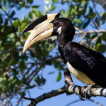 Galle/Mirissa: Yala & Udawalawe Safari Day Trip with Picnic - How the Experience Balances Value and Authenticity