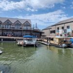 Galveston: Dolphin Watching Boat Tour in Galveston Bay - Why This Tour Works Well