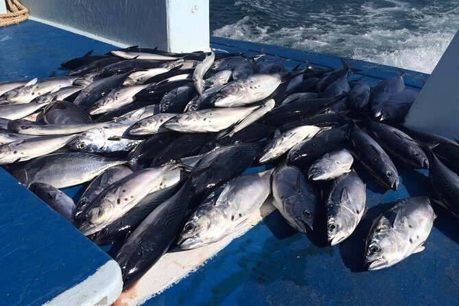Game Fishing and Trolling around Phuket - What the Tour Includes and What It Doesn’t