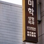 Gangnam Walking Tour on Youth and Society in Seoul Korea - Overview of the Experience