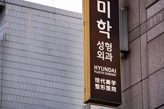 Gangnam Walking Tour on Youth and Society in Seoul Korea - Overview of the Experience