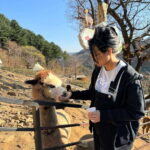 Gangwon 2D1N Trip: Chuncheon-Hongcheon with Accommodation - The Itinerary in Detail