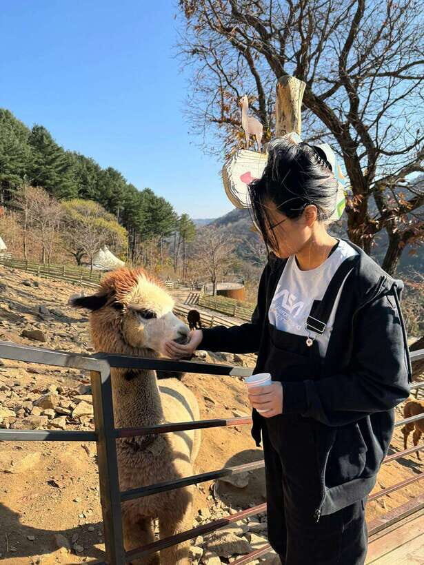 Gangwon 2D1N Trip: Chuncheon-Hongcheon with Accommodation - The Itinerary in Detail