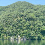 Gapyeong Day Trip : River Cruise to Walk around Jarasum - Practical Details & What to Expect
